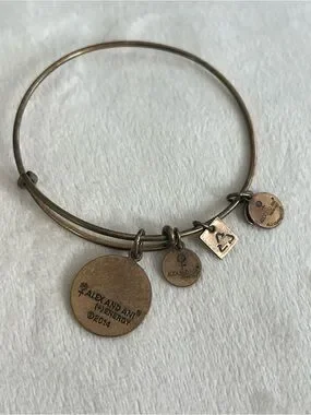 Alex and Ani | Jewelry | Alex And Ani Bronze Charm Bangle With Heart ...